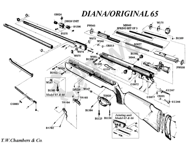 Diana/Original 65 (Diagram Download)