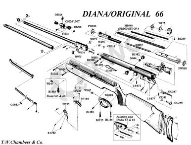 Diana/Original 66 (Diagram Download)