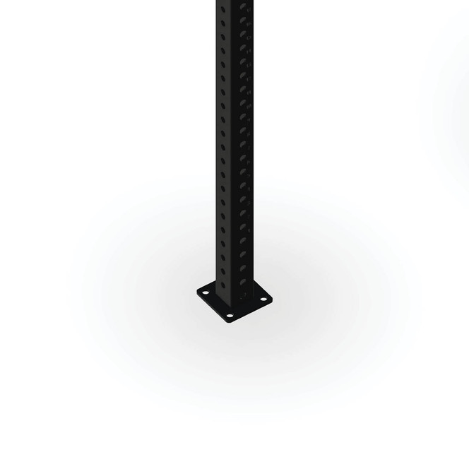 Solid Strength Goliath 2 Bay Free Standing Rig - SOLID STRENGTH EQUIPMENT
