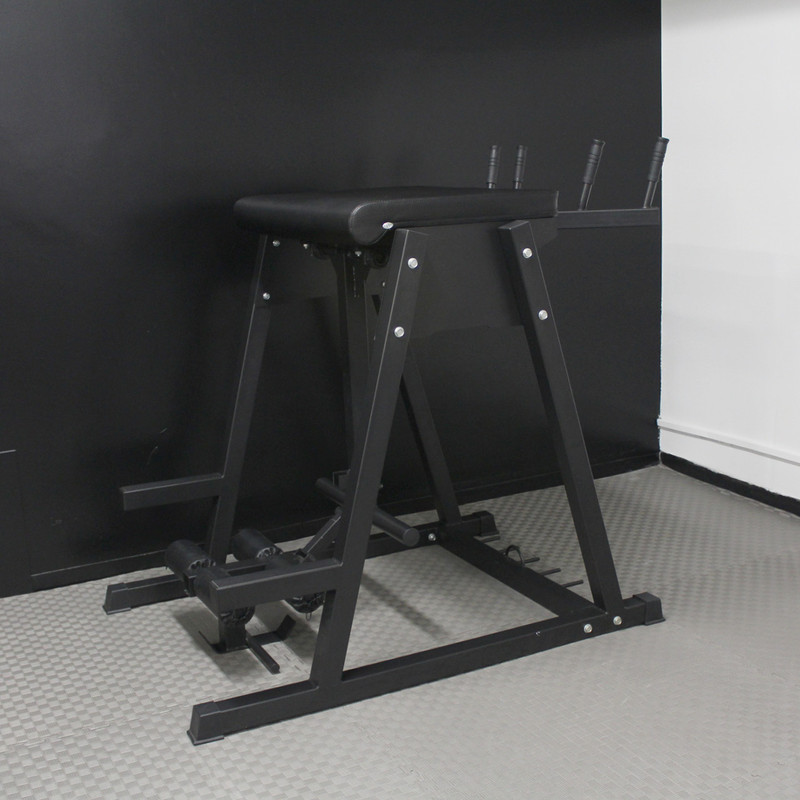 Solid Strength Reverse Hyper Machine - SOLID STRENGTH EQUIPMENT