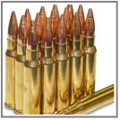 AMMUNITION - RIFLE AMMO - 762 NATO - Nautilus Ammunition