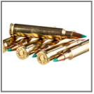 AMMUNITION - RIFLE AMMO - 204 RUGER - Nautilus Ammunition