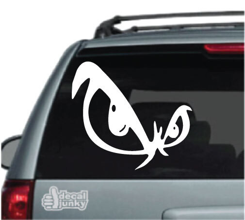 Eyes Eyeballs Eyelashes Decals Stickers for Cars Trucks Windows