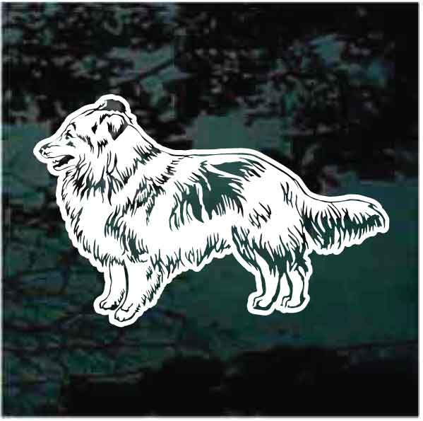 Sheltie Collie Car Decals & Window Stickers | Decal Junky
