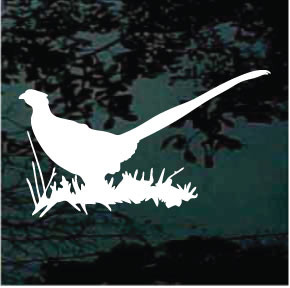Pheasant On The Ground Window Decals & Stickers