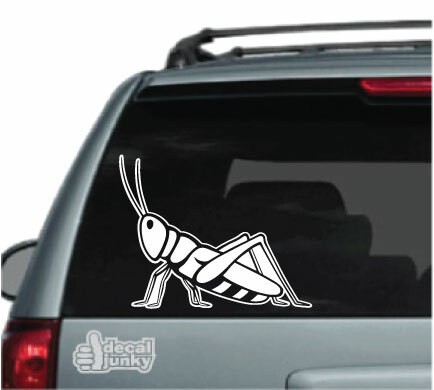 Insect Decals Stickers for Cars Trucks Windows