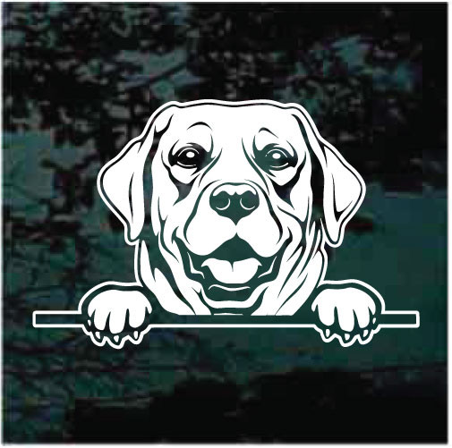 Labrador Retriever Peeking Decals & Window Stickers | Decal Junky