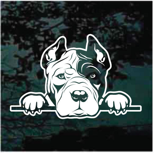 American Pitbull Looking Out The Window Decals Stickers
