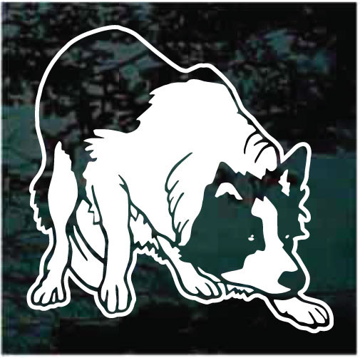 Crouched Border Collie Decals & Stickers | Decal Junky
