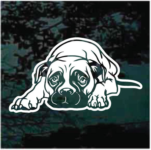 Lazy Boxer Decals Custom Vinyl Car Stickers | Decal Junky