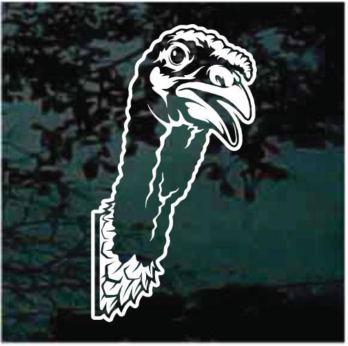 Turkey Peeking In The Window Decals & Stickers | Decal Junky
