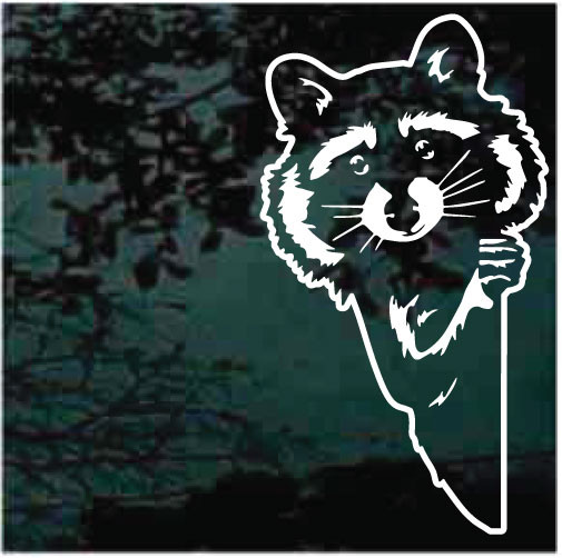 Cute Peeking Raccoon Decals Stickers for Cars Trucks Windows