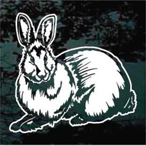 Realistic Rabbit Car Decals & Window Stickers | Decal Junky