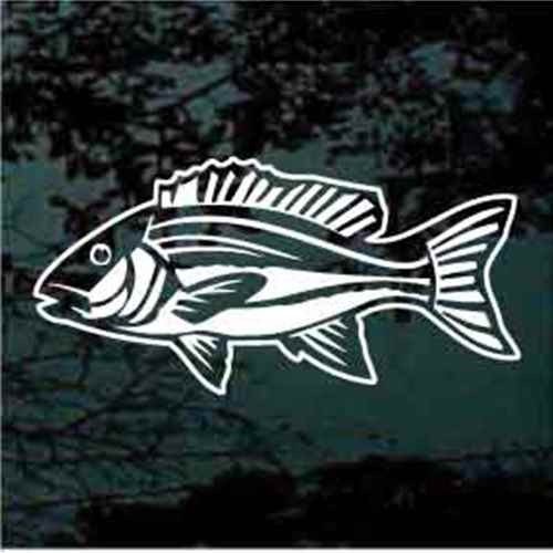 Red Snapper Decals & Red Snapper Car Window Stickers