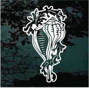 Conch Shell Car Decals & Window Stickers | Decal Junky