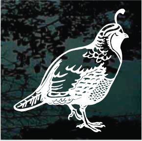 Detailed Quail Decals Stickers for Cars Trucks Windows