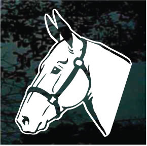 Mule Head Decals & Car Window Stickers Personalized | Decal Junky