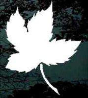 Maple Leaf Decals | Maple Leaf Stickers | Tree Decals - Decal Junky