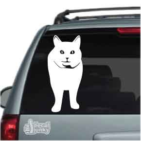 Cat Looking Decals & Car Window Stickers | Decal Junky