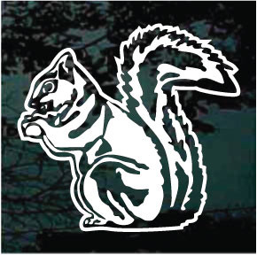 Detailed Squirrel Decals & Window Stickers