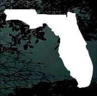 State of Florida Decal & Window Sticker