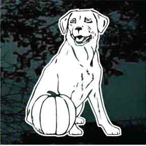 Labrador Retriever With Pumpkin Decals & Stickers | Decal Junky
