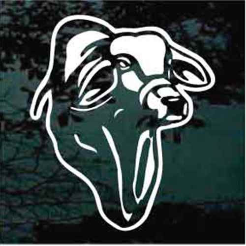 Brahman Bull Head Decals & Car Window Stickers | Decal Junky