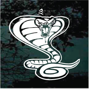 Striking Cobra Snake Car Decals & Window Stickers | Decal Junky