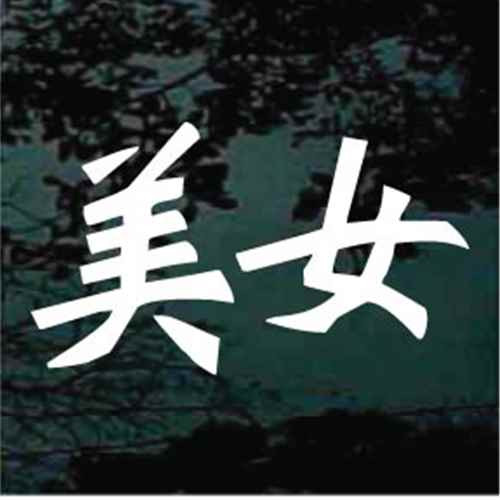 Chinese Vinyl Lettering Beauty Decals Custom Vinyl Stickers | Decal Junky