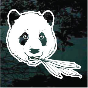 Panda Bear Head Car Window Decals & Stickers | Decal Junky