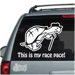 Old Turtle Race Pace Car Decals & Window Stickers | Decal Junky