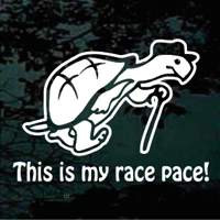 Old Turtle Race Pace Car Decals & Window Stickers | Decal Junky