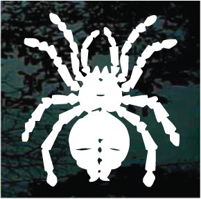 Hairy Spider Web Car Decals & Window Stickers | Decal Junky