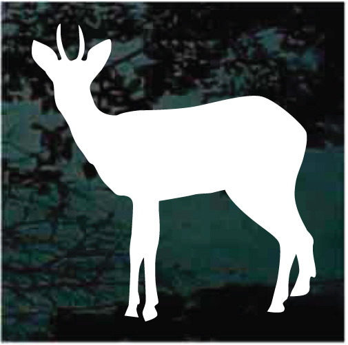 Spike Deer Decals & Stickers for Cars, Trucks, and Windows