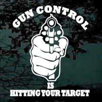 Gun Control Hitting Your Target Decals & Window Stickers