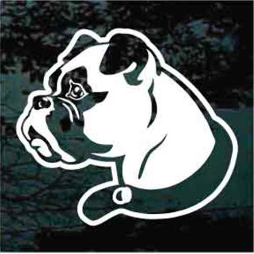 Boxer Head Wearing Collar Car Decals & Window Stickers | Decal Junky