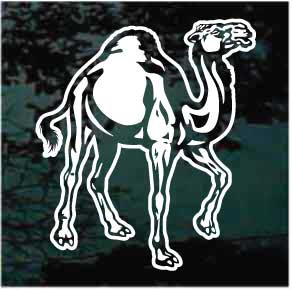 Detailed Camel Decals & Car Window Stickers | Decal Junky