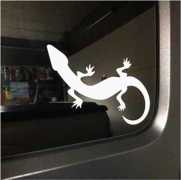 Solid Lizard Car Decals & Window Stickers | Decal Junky