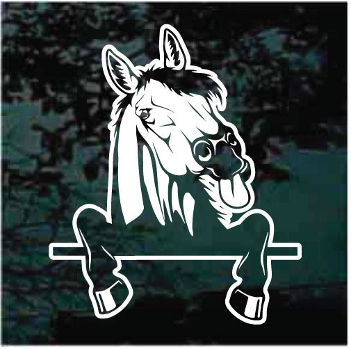 Horse Peeking In The Window Decals & Stickers | Decal Junky