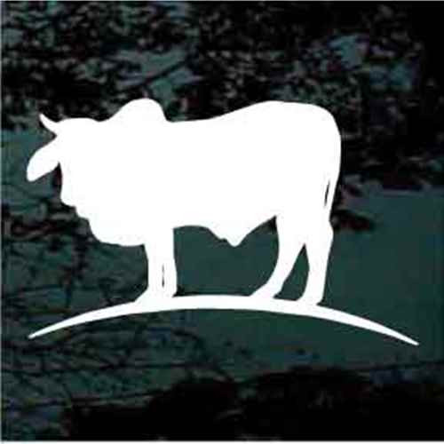 Farm Cattle Brahman Bull Decals & Car Window Stickers | Decal Junky
