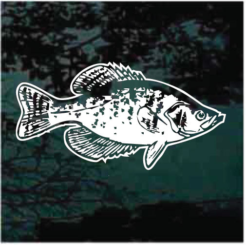 Black Crappie Fish Car Window Decals & Stickers | Decal Junky