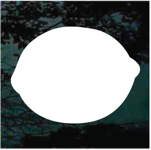 Whole Lemon Decals & Stickers | Decal Junky