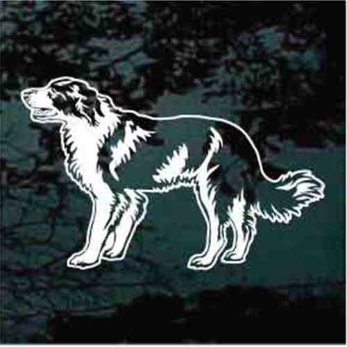 Realistic Border Collie Car Decals & Window Stickers | Decal Junky