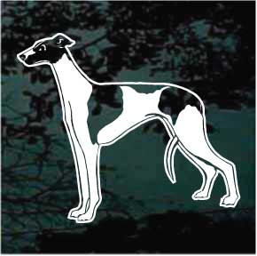 Amazing Greyhound Car Decals & Window Stickers | Decal Junky