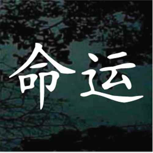 Chinese Destiny Decals Stickers - Decal Junky