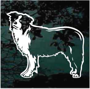 Border Collie Profile Car Decals & Window Stickers | Decal Junky