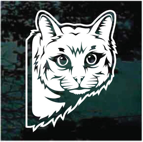 Cat Peeking In The Window Decals & Stickers | Decal Junky