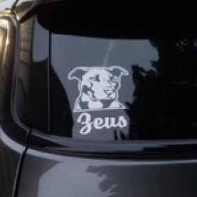 Detailed Pitbull Head Car Decals & Window Stickers | Decal Junky