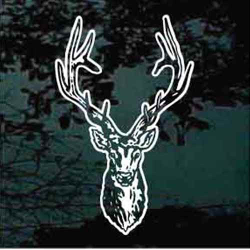 Realistic Mule Deer Head Car Decals & Stickers | Decal Junky
