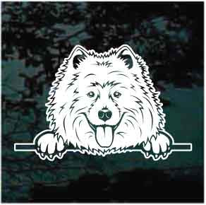 Samoyed Peeking Decals & Car Window Stickers | Decal Junky